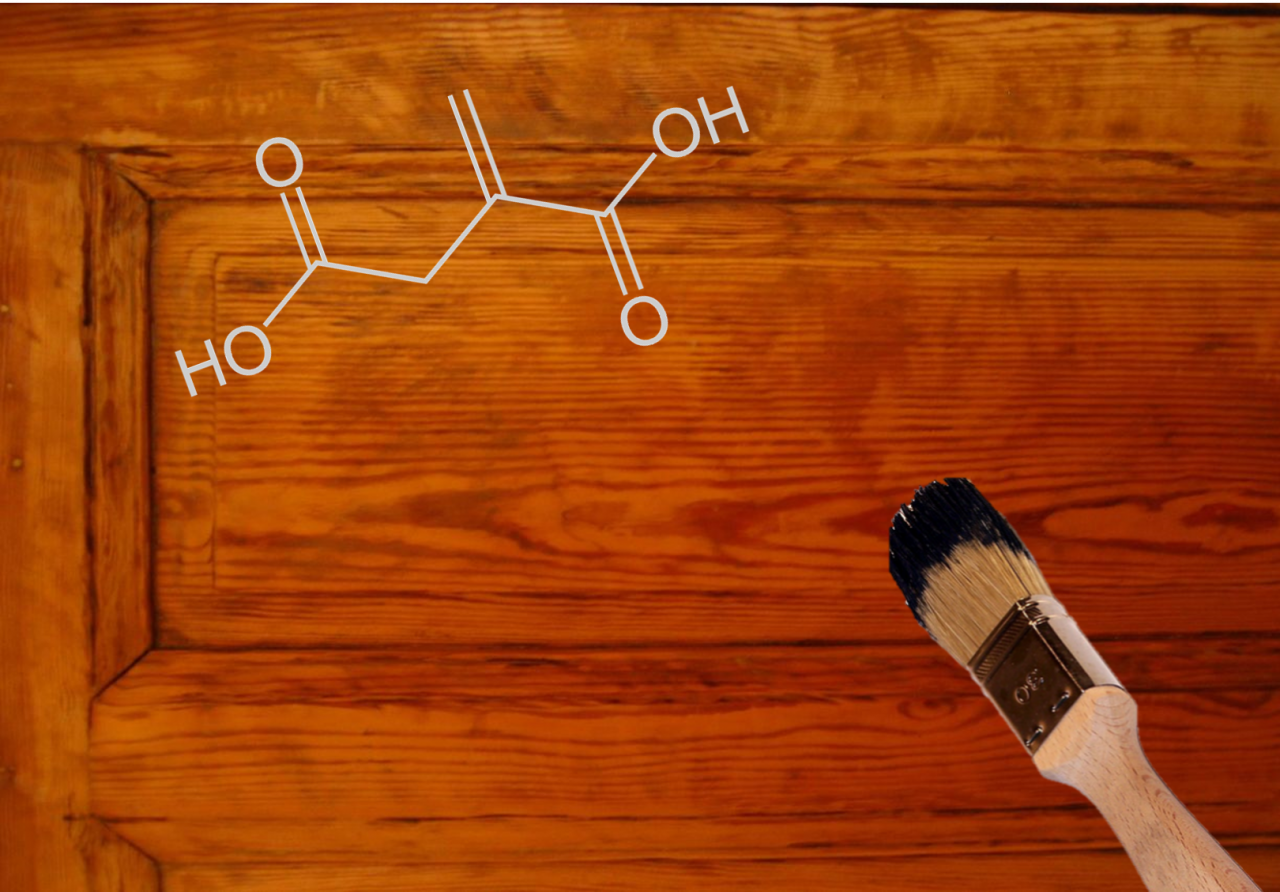 Projects | GreenDelta