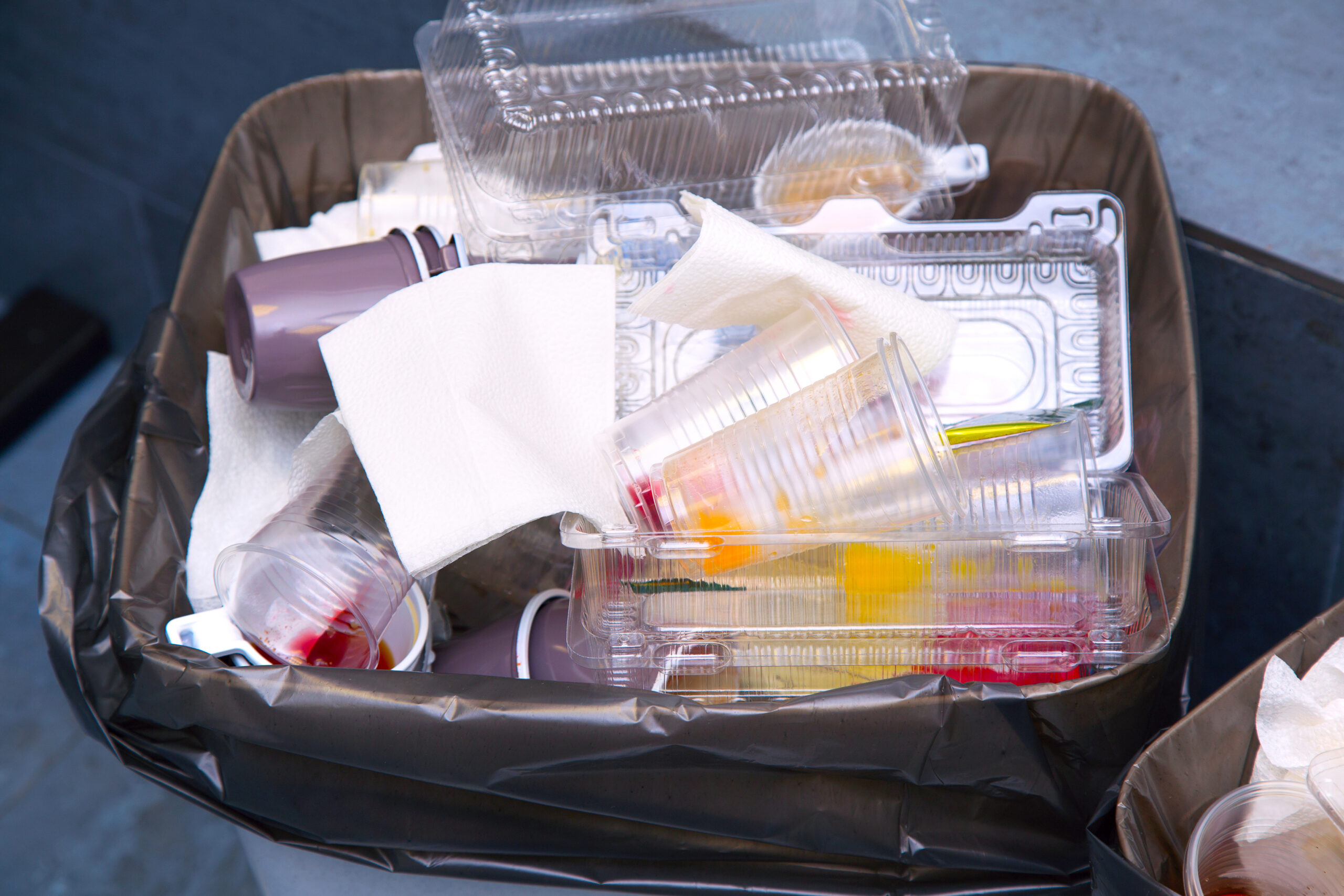 Projects | GreenDelta